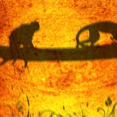 Monkey Shadows - KDE Store