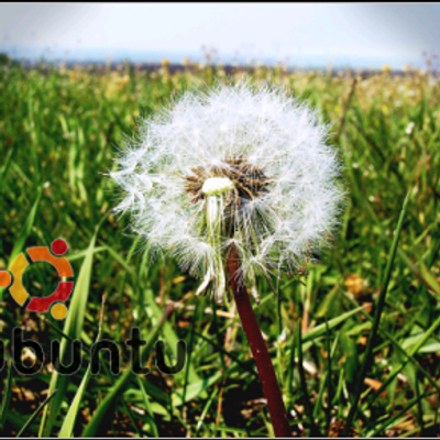 dandelion_ubuntu - KDE Store