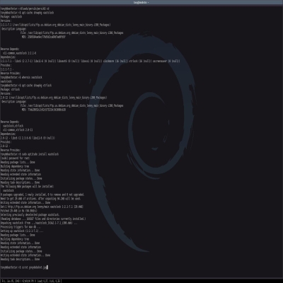 grey blue debian swirl wide screen - KDE Store