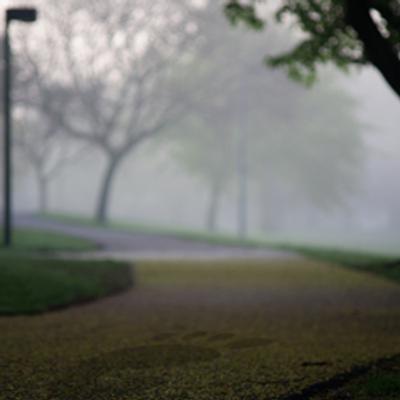 The Path - KDE Store