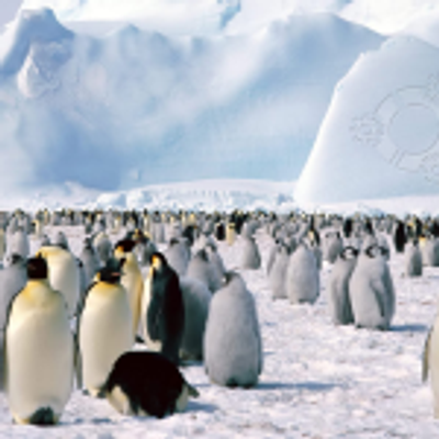 Kubuntu is Kool 01 - KDE Store
