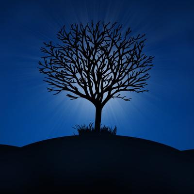 lonely tree like me - KDE Store