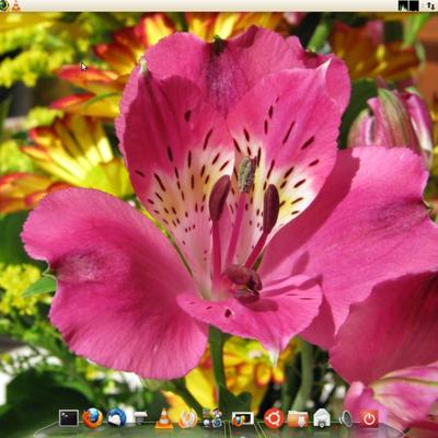 flower - KDE Store