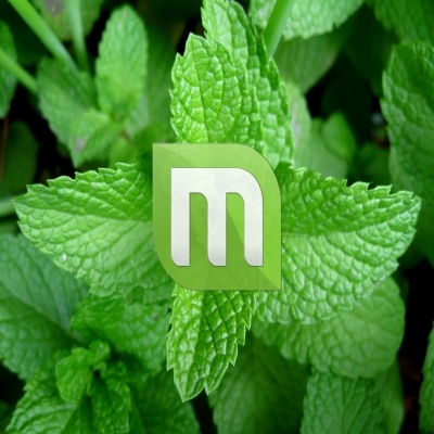 Mint Taste - KDE Store