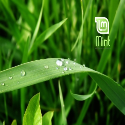 Green Grass - KDE Store