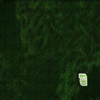 Green Grass Wallpaper - KDE Store