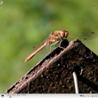 Dragonfly - KDE Store