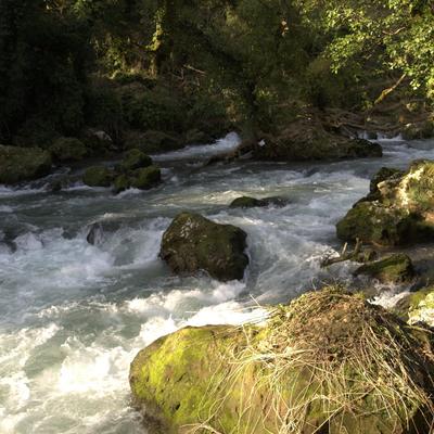 River in spring - KDE Store