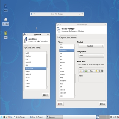 Murrine Unity XFCE theme - Eyecandy for your XFCE-Desktop - xfce-look.org