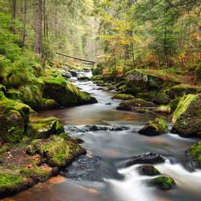 Magical Stream - KDE Store