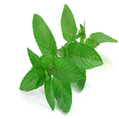 Mint Leaves - KDE Store