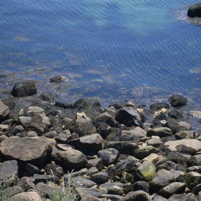 Beach Rocks - KDE Store