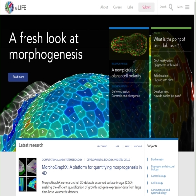 MorphoGraphX - OpenDesktop.org