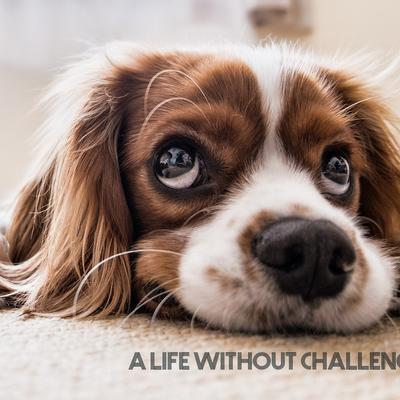 A life without challenges is boring - KDE Store