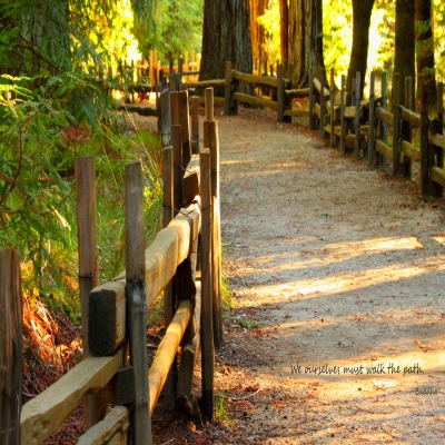 4K Wallpaper We ourselves must walk the path. - KDE Store