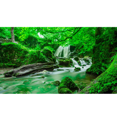 Green forest stream - 4k - KDE Store