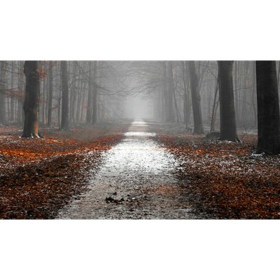 Snow autumn path - 4k - KDE Store