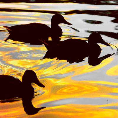 Drop shadow - 4k - KDE Store