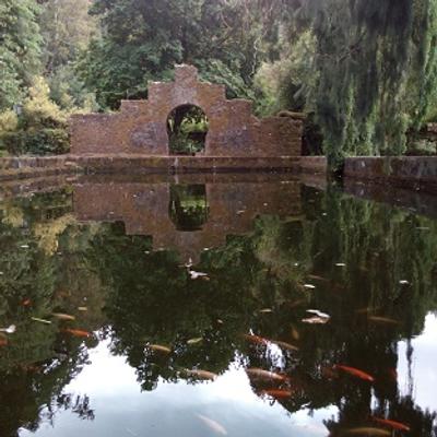 medieval pool - addons.videolan.org