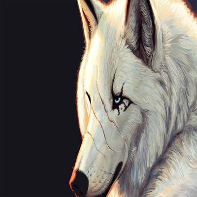 WOLF SCARS - KDE Store