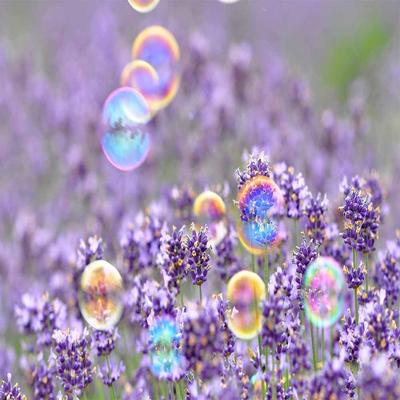 REFLECTING BUBBLES PURPLE FLOWER FIELD - KDE Store