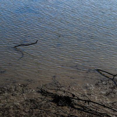 mud empty - KDE Store