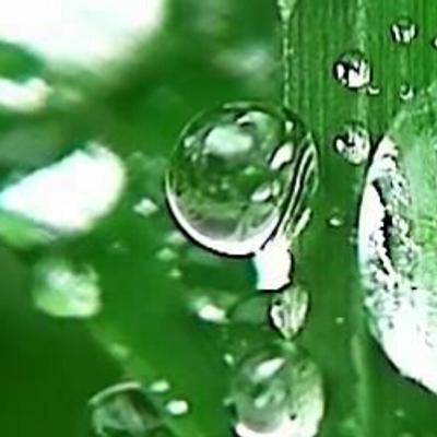 ios-11 wall green - KDE Store