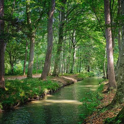 Canal Through Trees - KDE Store