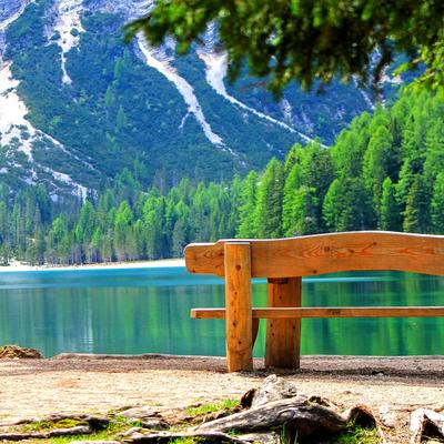 Lake Mountain Forest View- HD/4K - KDE Store