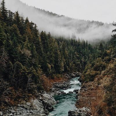 River Through Forest Contrasted- FHD/4K - KDE Store