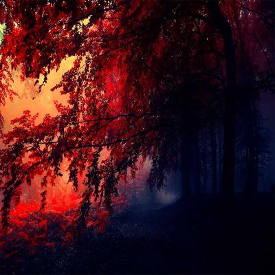 RED LEAF TREES - addons.videolan.org