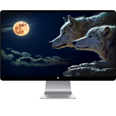Close-Up Wolves At Full Moon Night - KDE Store