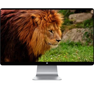 Majestic Lion Mane Side-View - KDE Store