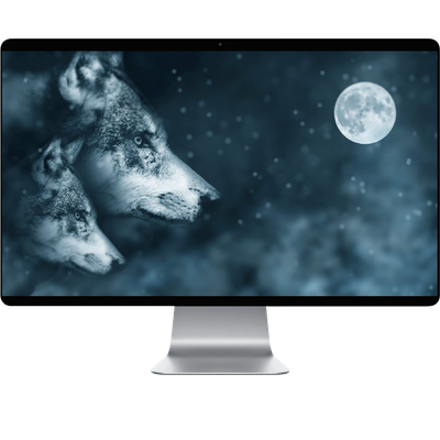 Snowing Full Moon Night Wolves - KDE Store