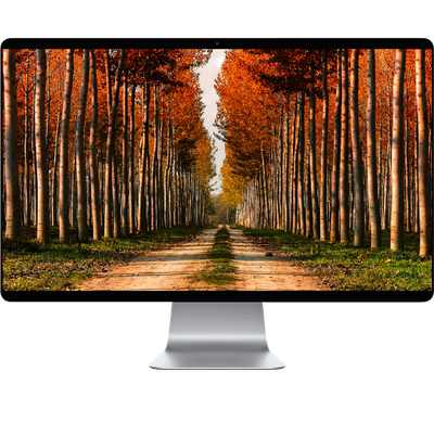 Road Through Colorful Trees - KDE Store