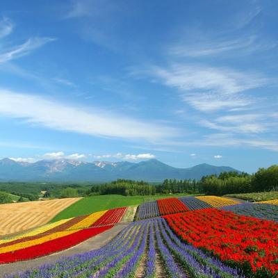 A colorful land - KDE Store