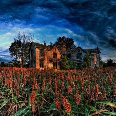 Edgewood farm - addons.videolan.org