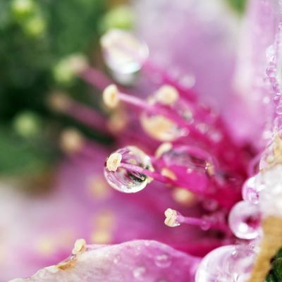 Water drops - KDE Store