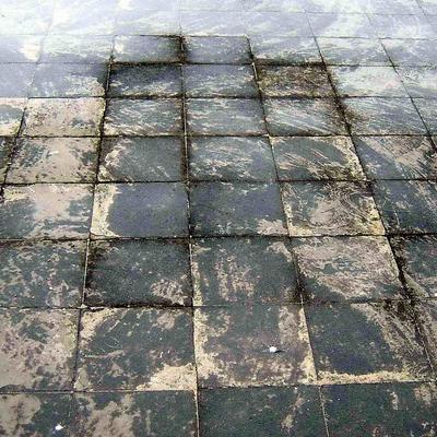 Stone path - KDE Store