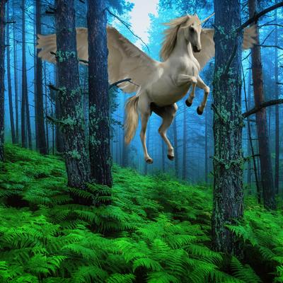 Winged Horse - KDE Store