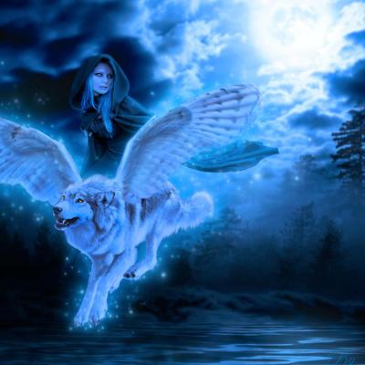 Winged Wolf - KDE Store