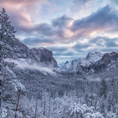 Winter Landscape - KDE Store