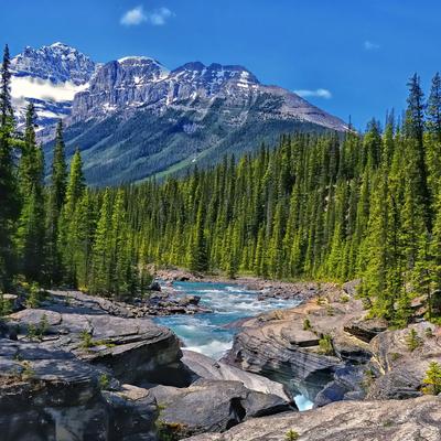 Forest mountain - KDE Store