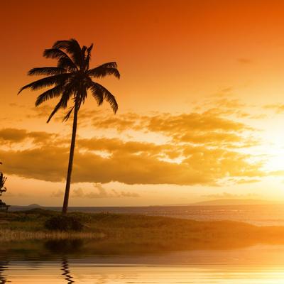 Cloudy beach - KDE Store