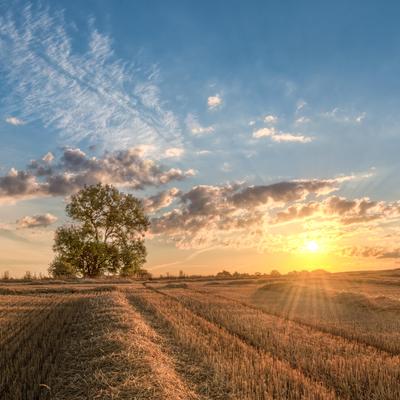 Sun rays - KDE Store