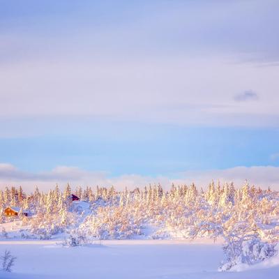 Icy House - KDE Store