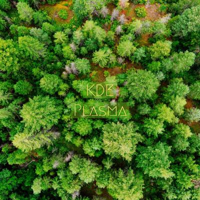KDE Plasma Pine Trees Wallpaper - KDE Store
