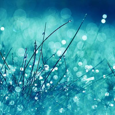 water drops - KDE Store