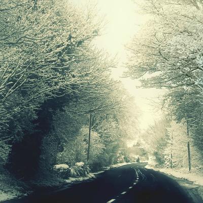 Road through forest at winter - KDE Store