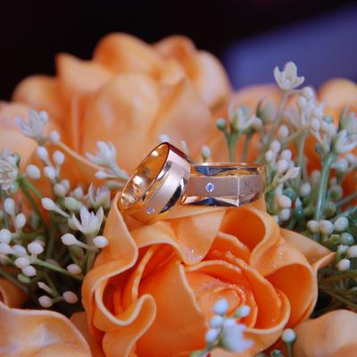 Gold Rings - KDE Store